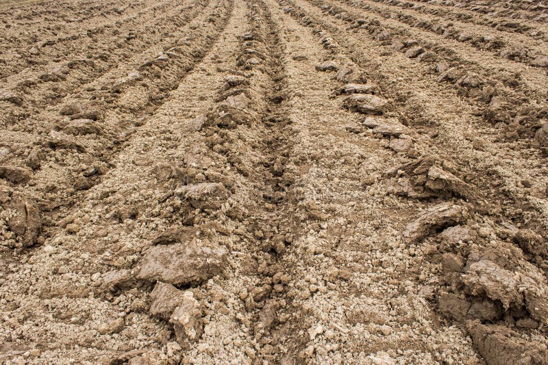 Plough agriculture field stock image. Image of brown - 59064099
