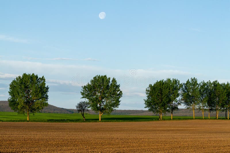 Plough land stock image. Image of idyll, farm, idyllic - 31709461