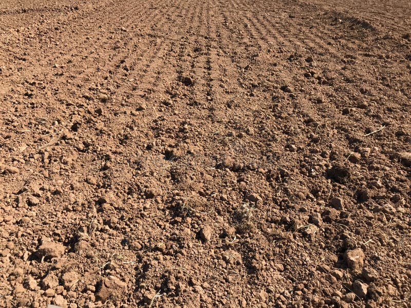 Ploughed and Cultivated Field, Bare Earth Stock Photo - Image of food, bare: 357910152