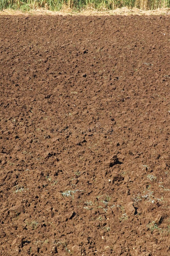 Ploughed earth stock photo. Image of rural, land, agriculture - 8961322