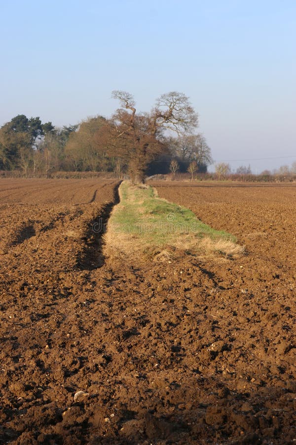 Ploughed Farm Field and Landscape Stock Photo - Image of agriculture ...