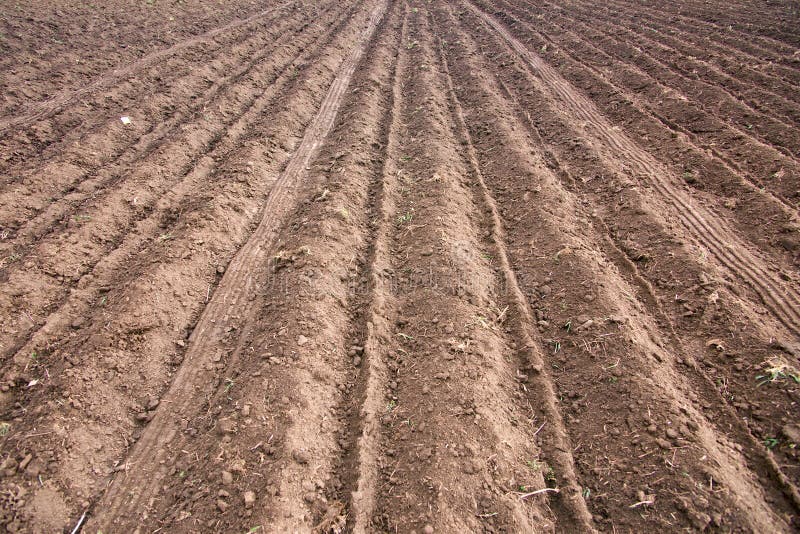 Ploughed field stock image. Image of farm, agronomy, cultivated - 14581859