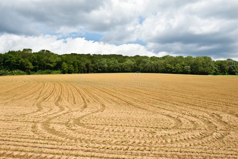 Ploughed field stock image. Image of plant, land, landscape - 26111567