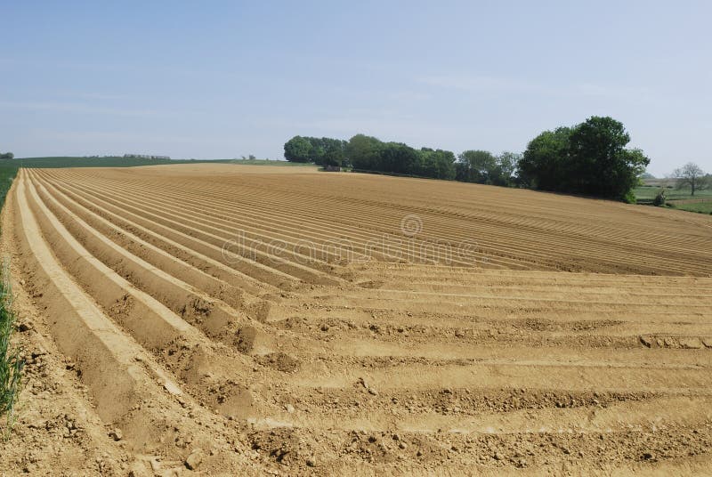 Furrow Slices Stock Photos - Free & Royalty-Free Stock Photos from ...