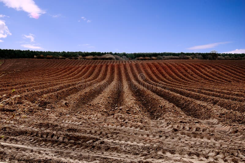 Ploughed field stock image. Image of cultivation, ground - 4704167