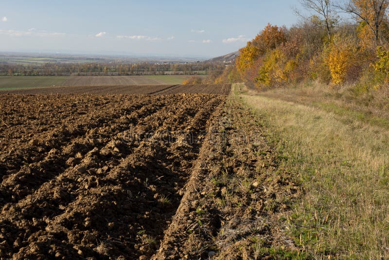 Ploughed field stock image. Image of dirt, plow, planting - 239552549