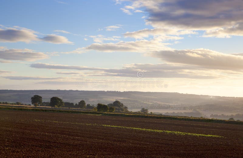 Ploughed field, Cotswolds stock photo. Image of country - 35315968