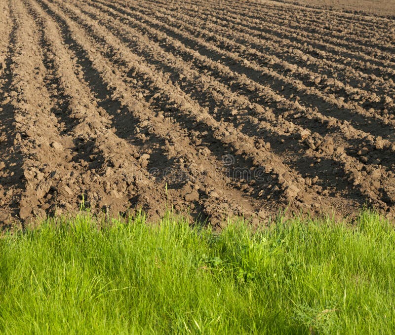 Ploughed field end stock photo. Image of boundary, rural - 40692282