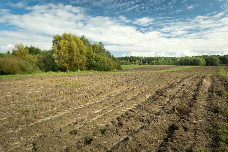 A Ploughed Field in Front of the Forest Stock Photo - Image of plough ...