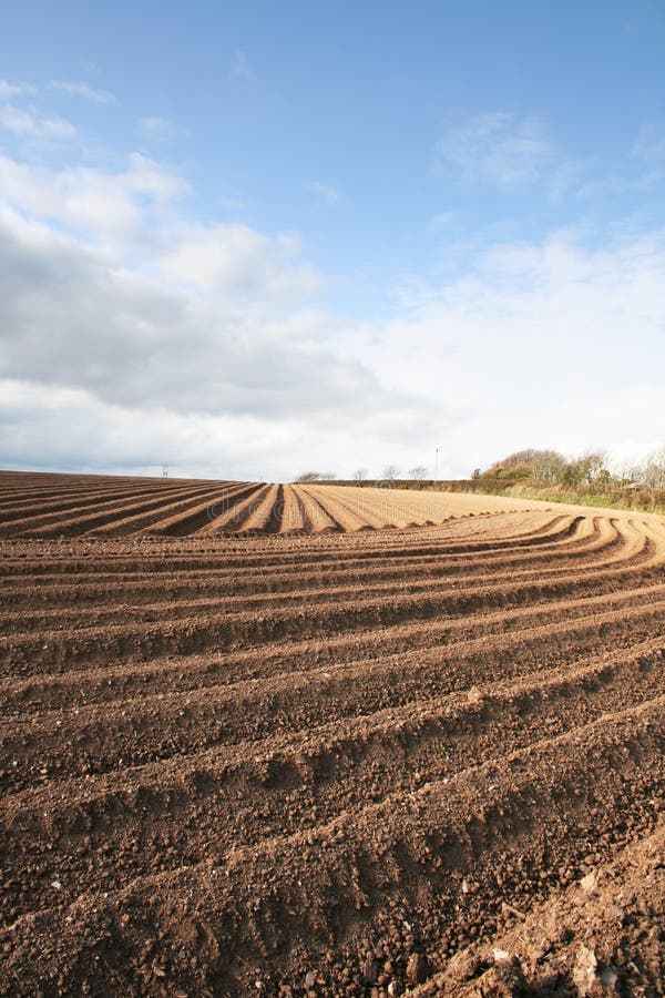 Ploughed Field Furrows stock photo. Image of farming, plough - 695692