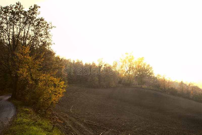 Ploughed Field on a Hill at Sunset in Autumn Stock Image - Image of ...