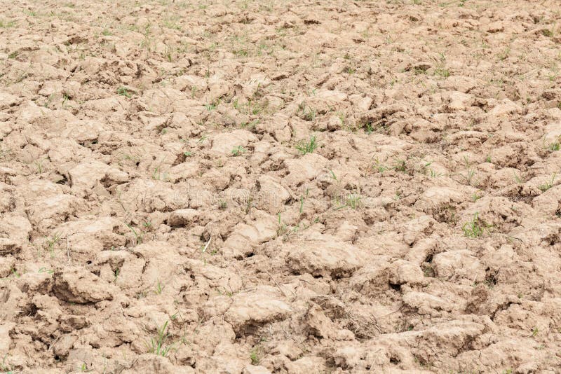 Ploughed Field Preparation, before Sowing. Stock Photo - Image of land ...