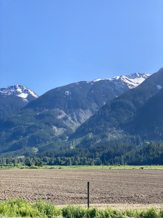 Fields by Mountains stock photo. Image of mountains - 219448774