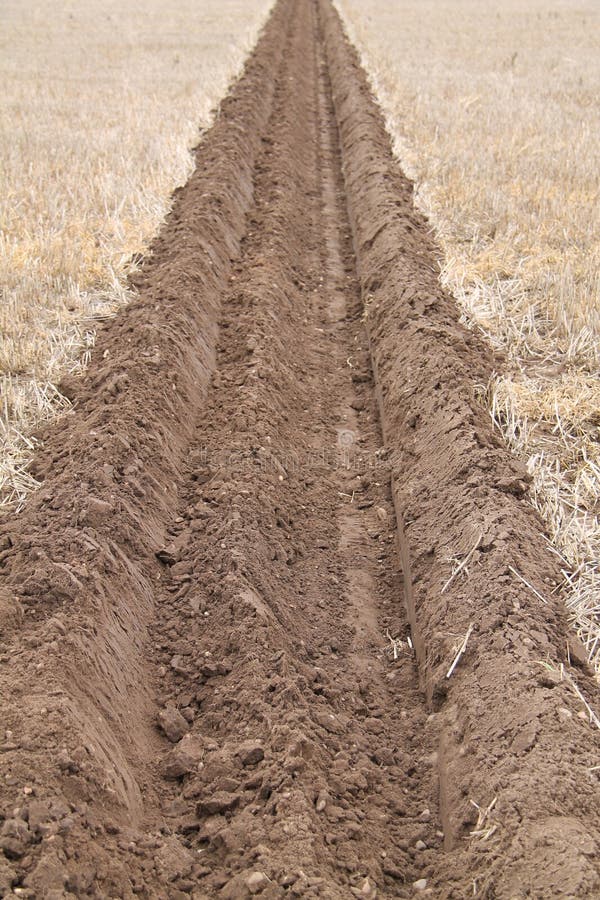 Ploughed Furrow in a Field. Stock Image - Image of crop, meadow: 27706915