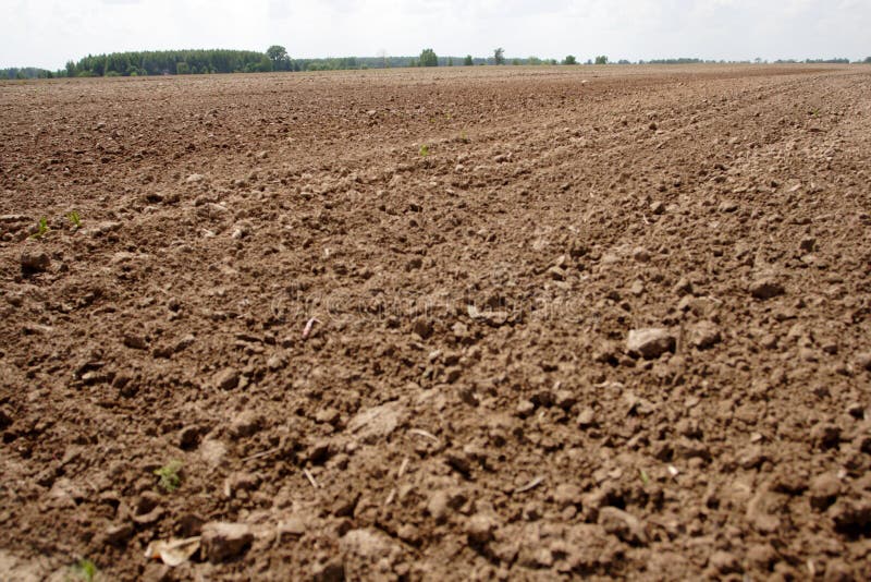 Ploughed land stock photo. Image of life, growth, dirt - 25063952