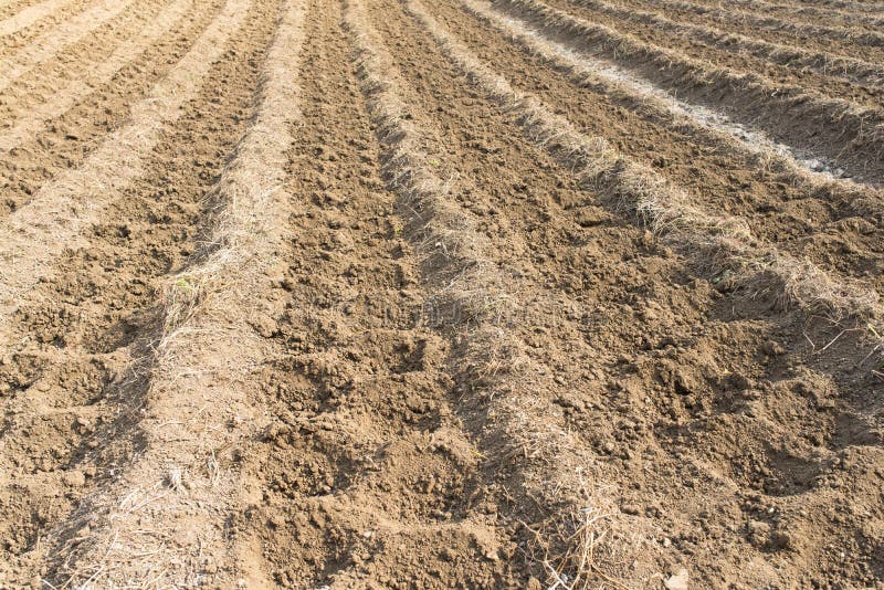 Ploughed Field Furrows stock image. Image of soil, field - 695701