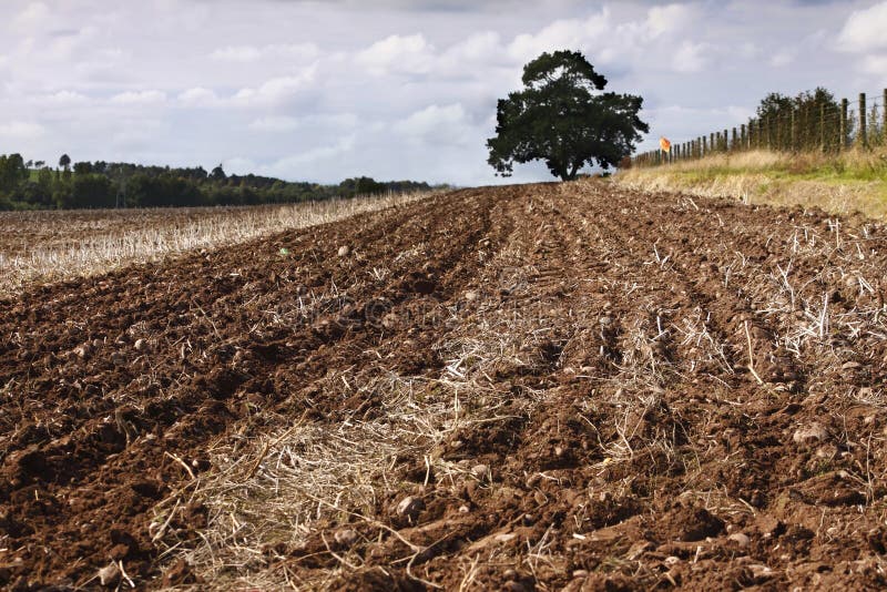 Ploughed / plowed field stock image. Image of crops, countryside - 22788325