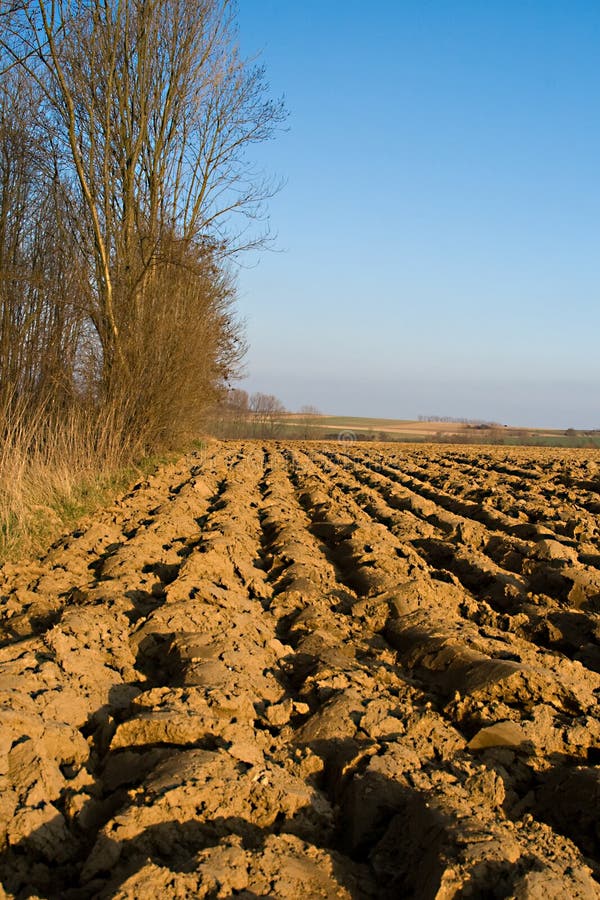 Ploughed Field Furrows stock photo. Image of farming, plough - 695692