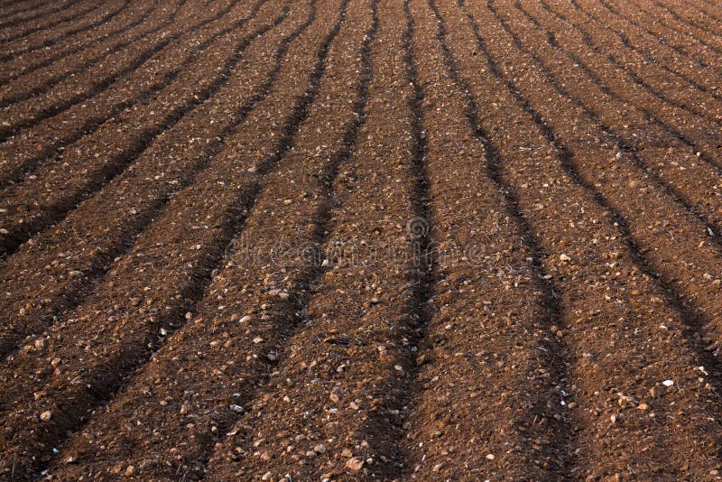 Tilled earth on field stock photo. Image of agricultural - 4813940