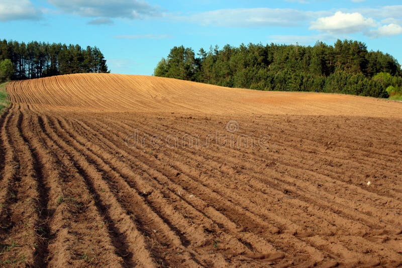 Tilled Field Background for Text Stock Photo - Image of glass, land ...