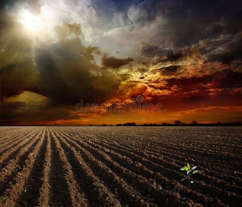 Ploughland stock photo. Image of clouds, land, celestial - 52019316