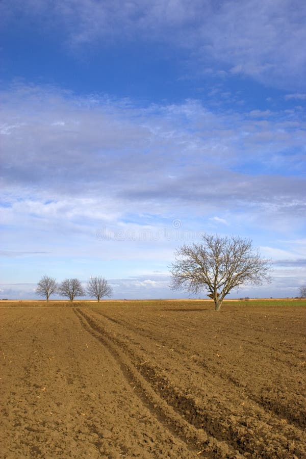 Ploughland and trees stock photo. Image of prepared, ranch - 8209364