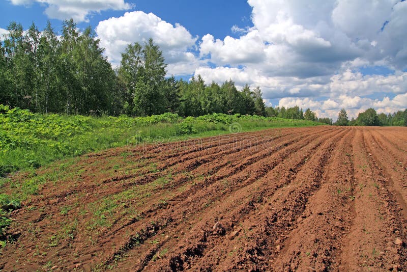 Plow field stock photo. Image of agriculture, agricultural - 25564302