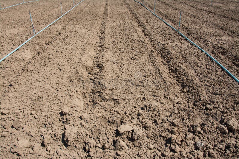 Plow Land and Irrigation System Ready for Agricultural Stock Photo ...