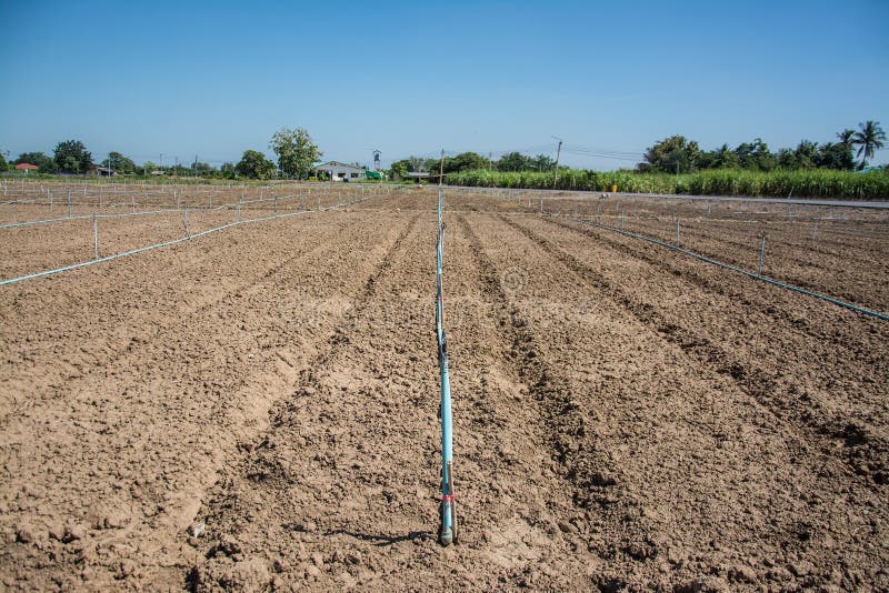 Plow Land and Irrigation System Ready for Agricultural Stock Image ...