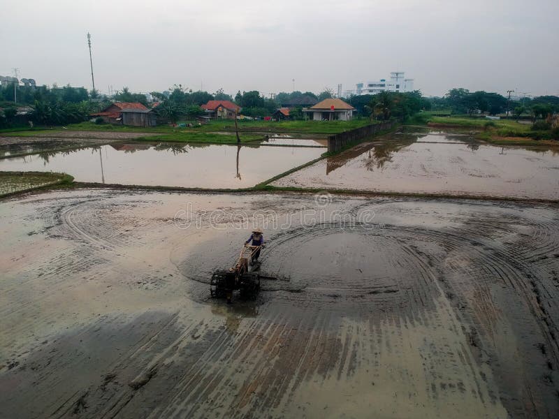 Plow rice field stock image. Image of river, soil, sand - 205040329