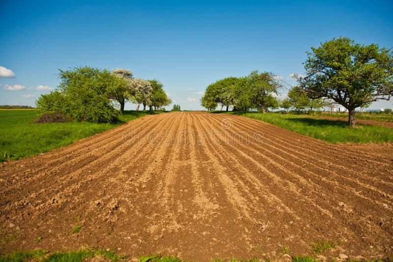 Plowed Acres and Trees with Blue Sky Stock Image - Image of field ...