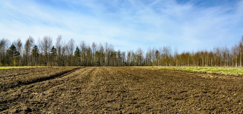 Arable Land and Field with Green Wheat Stock Photo - Image of farmland ...