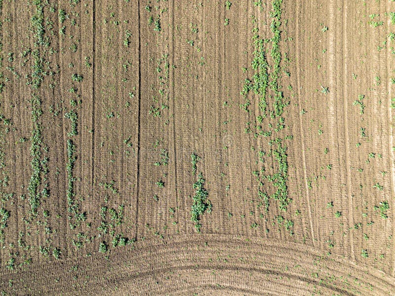 Plowed Agricultural Field, View from Above, Background Stock Image ...