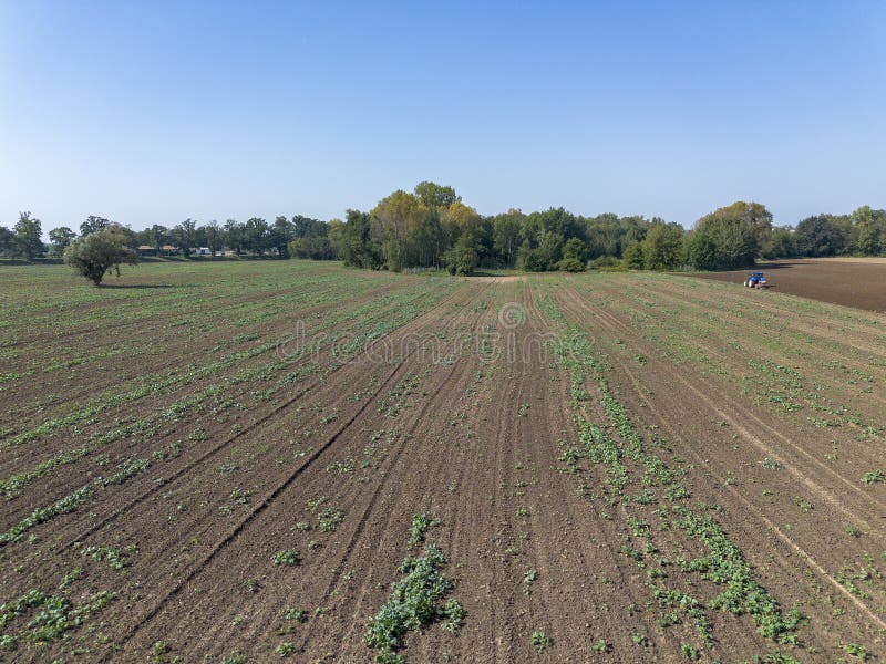 Plowed Agricultural Field, View from Above, Background Stock Image ...