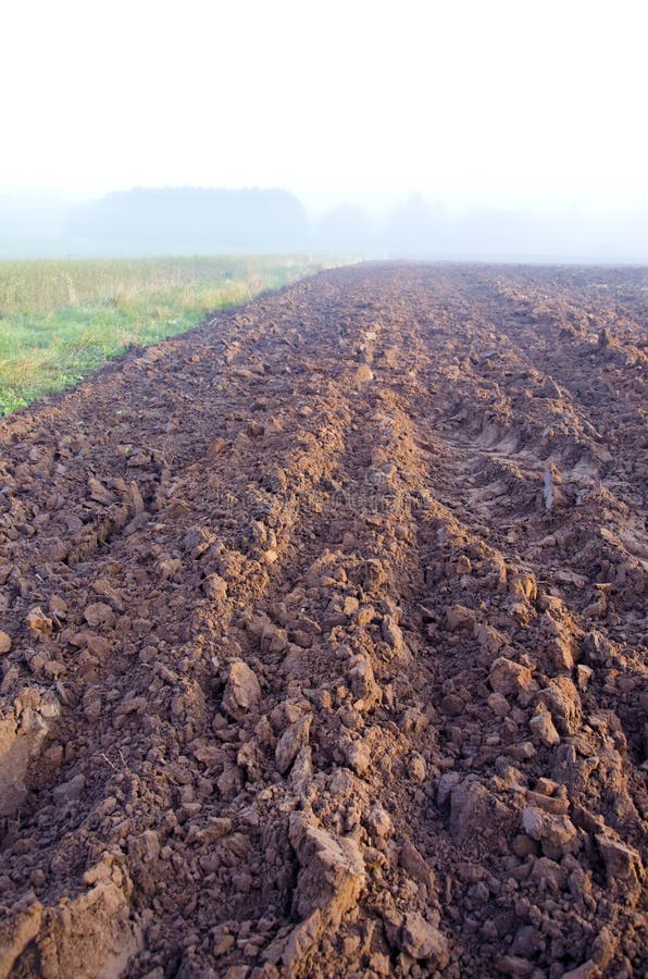 Plowed Autumn Farm Field and Mist Stock Photo - Image of nature ...