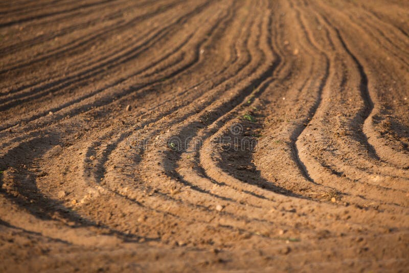 Plowed earth, the soil stock image. Image of soil, sand - 21246205