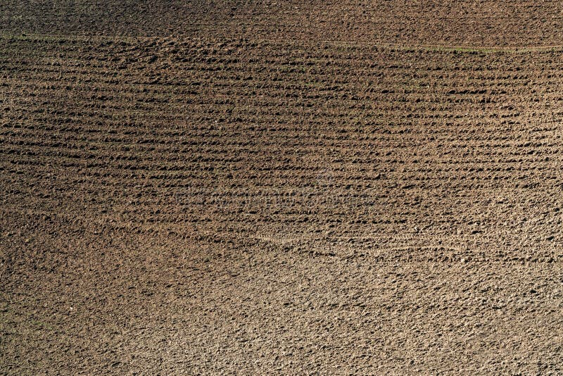 Plowed Farm Field stock photo. Image of plant, green, farm - 105432