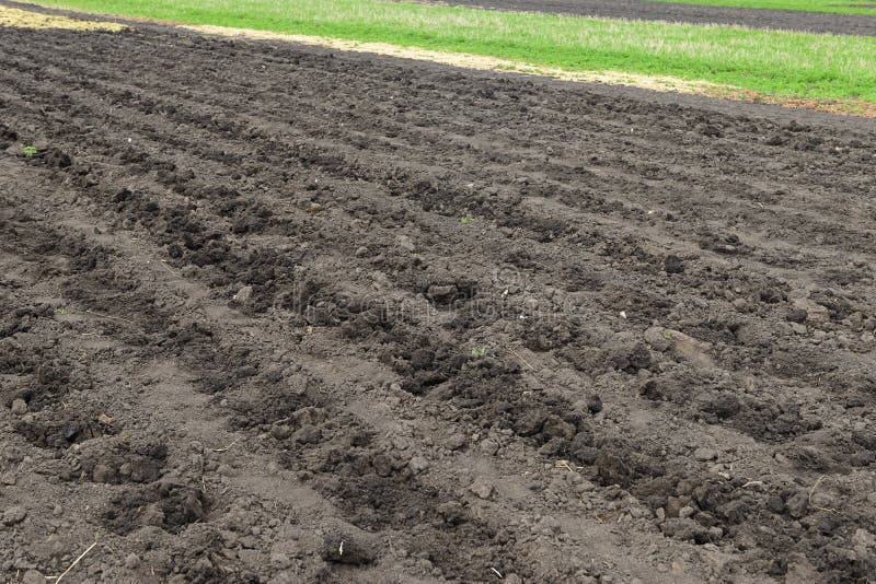Plowed fertile field stock photo. Image of humus, agricultural - 92011432