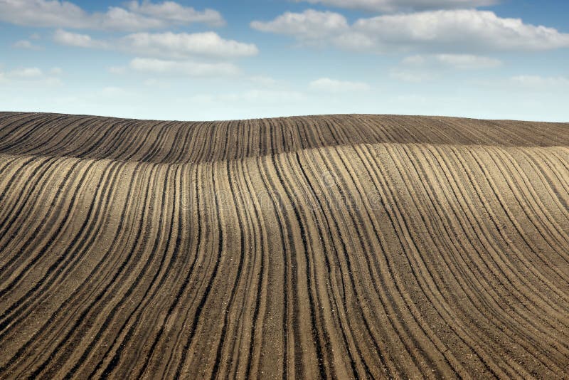 Fertile Field Rural Oregon. Stock Image - Image of horizon, cultivated ...