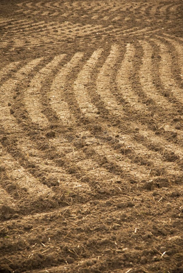 Plowed field stock image. Image of soil, agricultural - 20585825