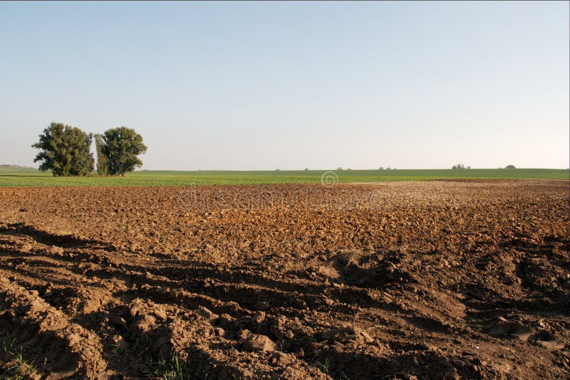 Plowed field stock image. Image of cultivation, land, clear - 1384569