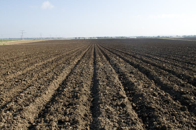Plowed Field stock photo. Image of cultivated, dirt, rows - 14155292