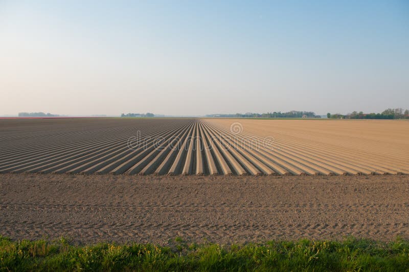Plowed field stock photo. Image of growth, pasture, symmetric - 19686762