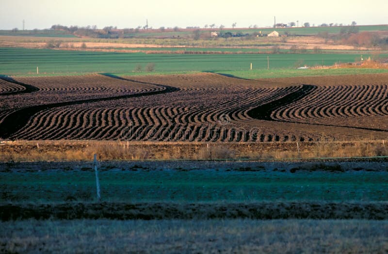 Free Nature pictures, photos & images - Royalty-Free and Public Domain ...