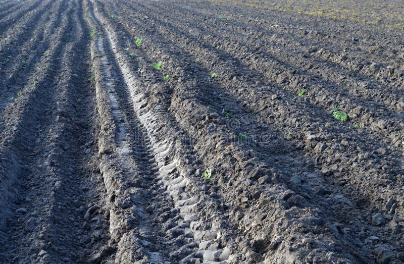 Plowed field stock image. Image of land, ground, acre - 47215511