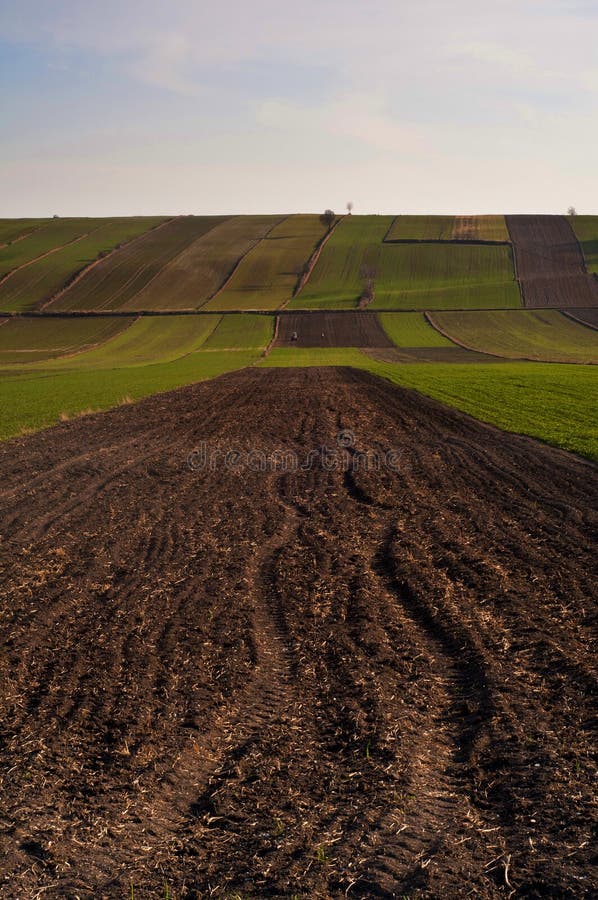 Agriculture in Poland. Harvester on Field Stock Image - Image of ...
