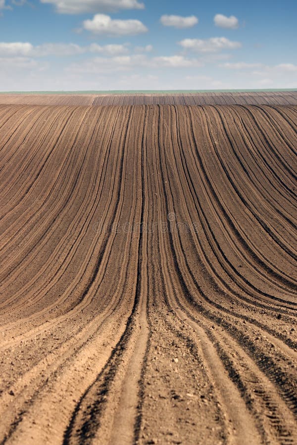 Plowed Field Agriculture Rural Stock Photo - Image of countryside ...