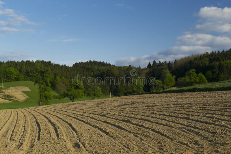 Plowed Field, Agriculture, Farming Stock Image - Image of rural ...