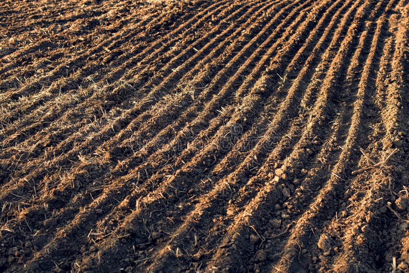 Plowed field land stock image. Image of agronomy, land - 149649161