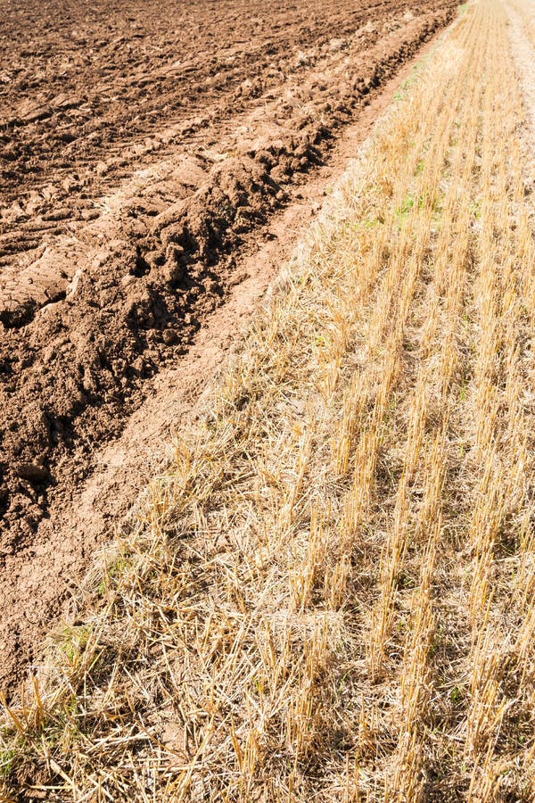 Plowed and harrowed field stock photo. Image of preparation - 86019028